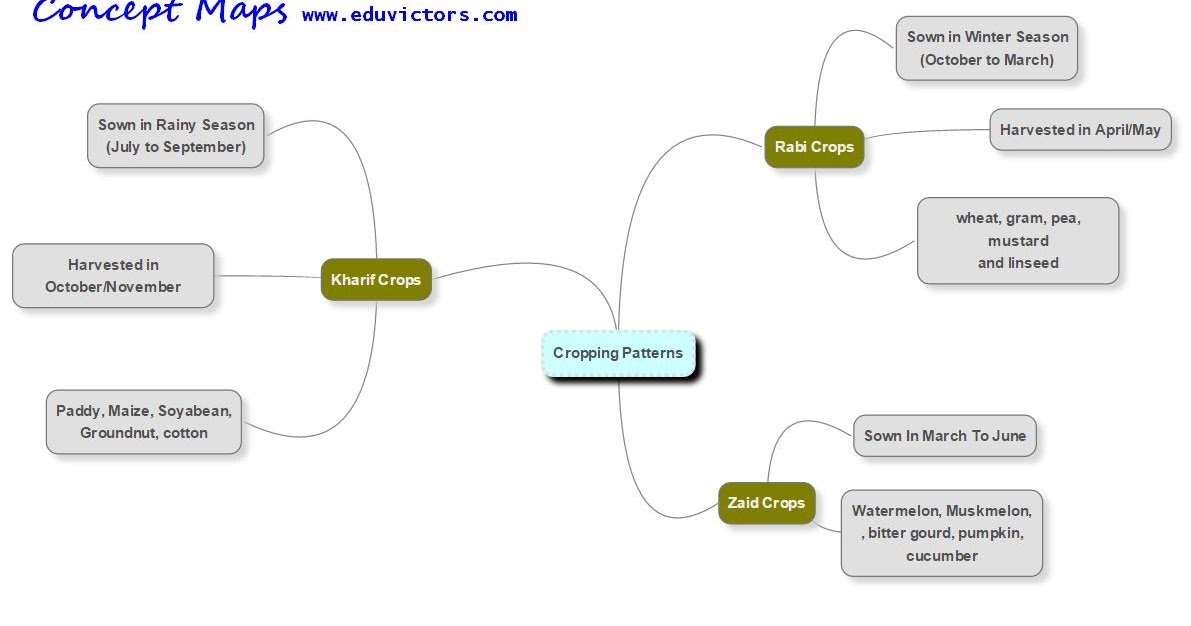CBSE Papers, Questions, Answers, MCQ ...: CBSE Class 8 - Science ...