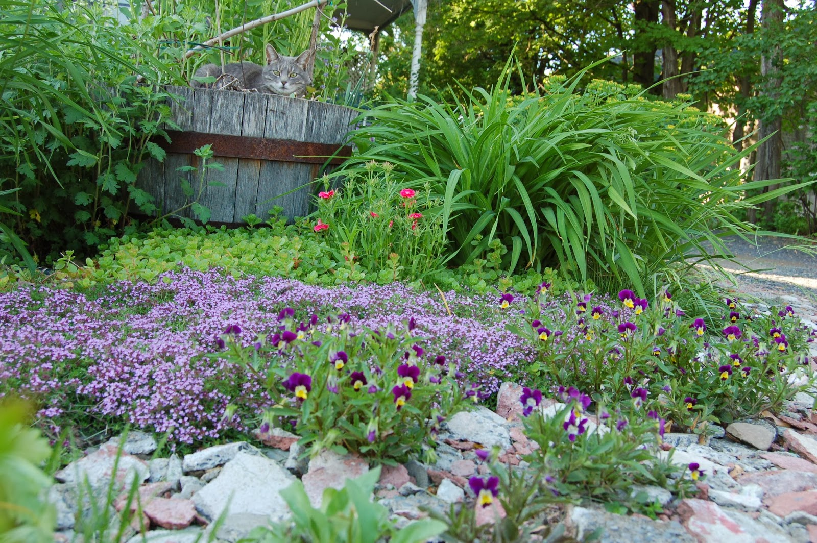 3 Jardins au Québec: Des plates-bandes comestibles et riches en ...