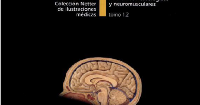 SISTEMA NERVIOSO COLECCIÓN NETTER, TOMO II SISTEMA NERVIOSO - Tu ...