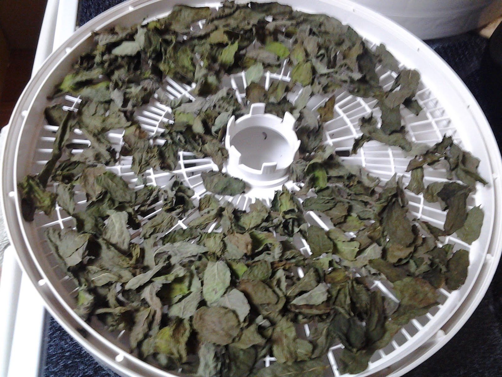 Look What I Made: Tea