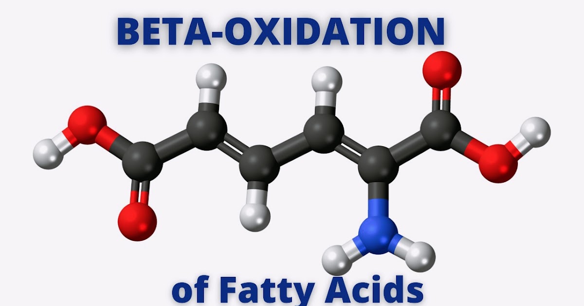 Beta oxidation, Beta oxidation pathway and its regulation