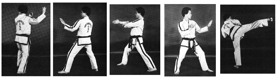 Foot Fist Way: 9: Hwa-Rang chicken wing lock