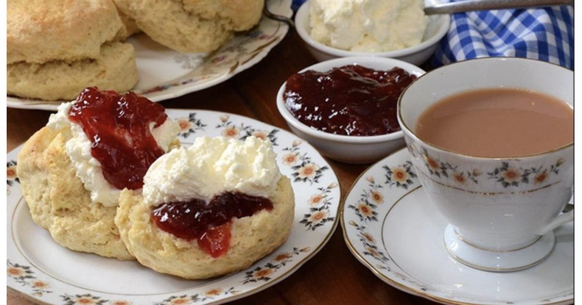 Erasmus Plus - Projekt 2018-1-PL01-KA101-049694: Devon and Cornwall ...