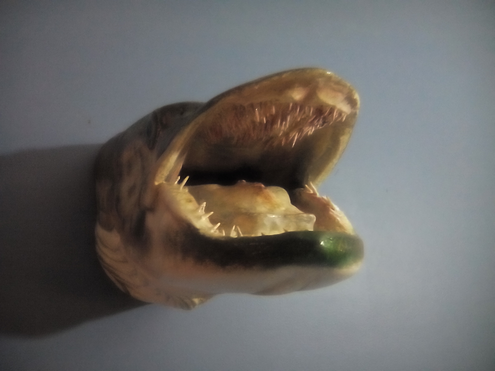 CHARLES WEISS ART: Giant muskie head carved from wood
