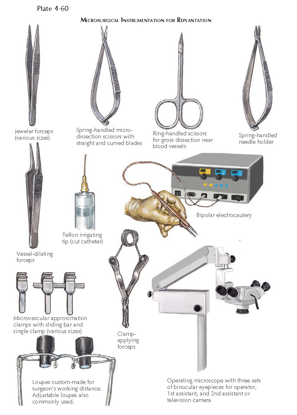 REPLANTATION - pediagenosis