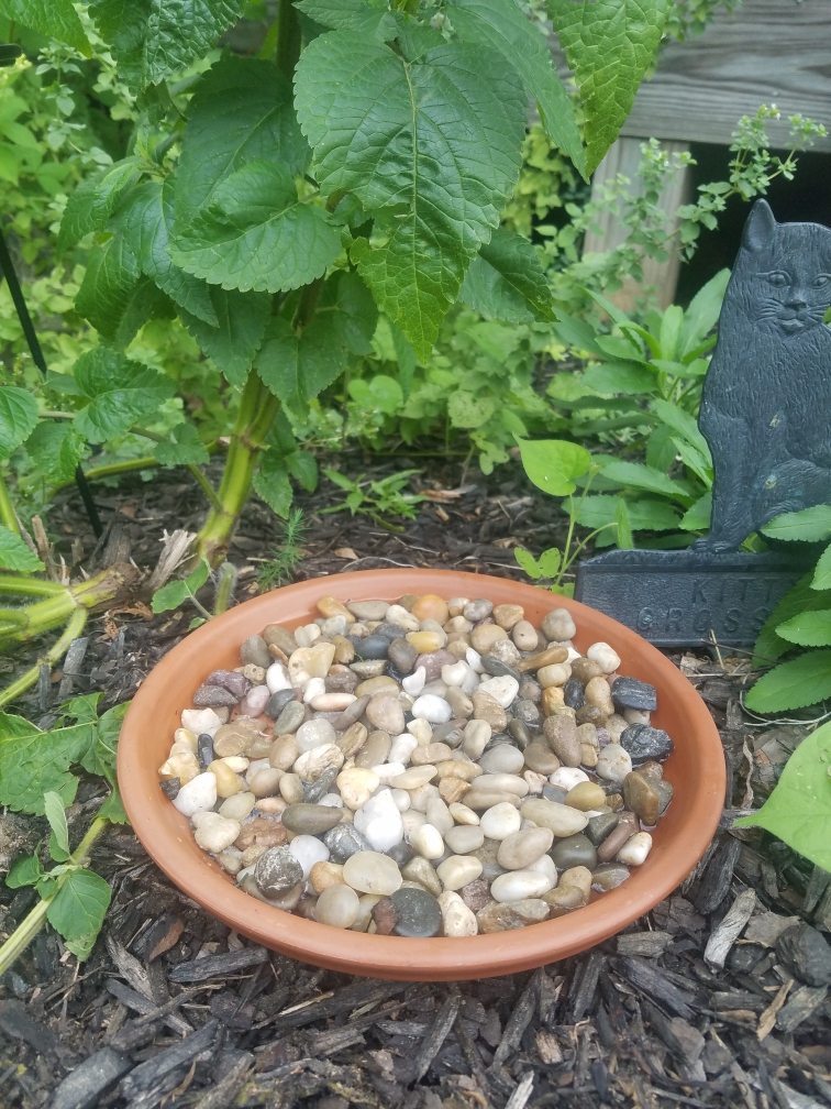 Flying the Hedge: DIY Bee Bath