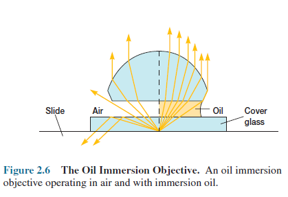 Microbiology Notes: The Study of Microbial Structure : Microscopy and ...