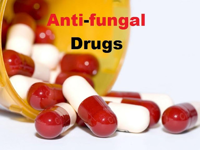 How Anti-Fungal Drugs helping to treat and prevent different types of ...
