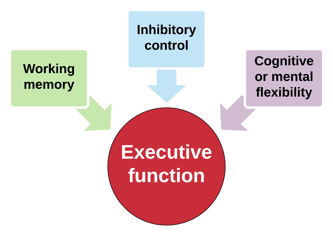 Best Practice Autism: Assessment of Executive Function (EF) in Autism