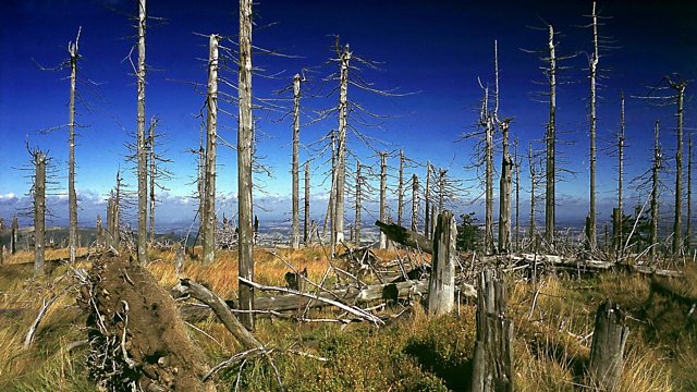 Environmental Geography: Acid Rain History