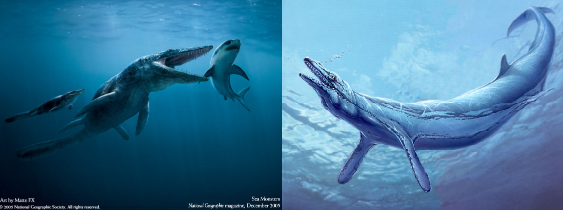 Paleontología y Evolución en la UCM: Macroevolución de los tetrápodos ...