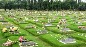 Rumput kuburan , Rumput makam Januari Tahun 2024 ~ JUAL RUMPUT TAMAN ...