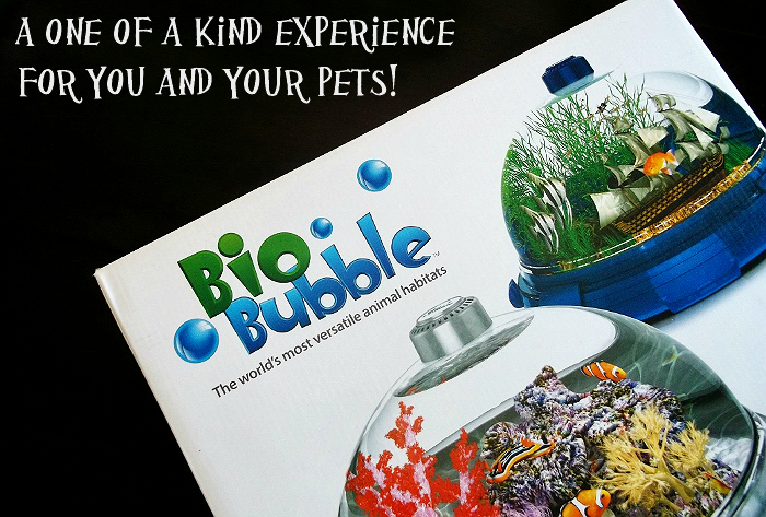 Time Out For Truffles: How To Set Up A Bio Bubble Aquarium!