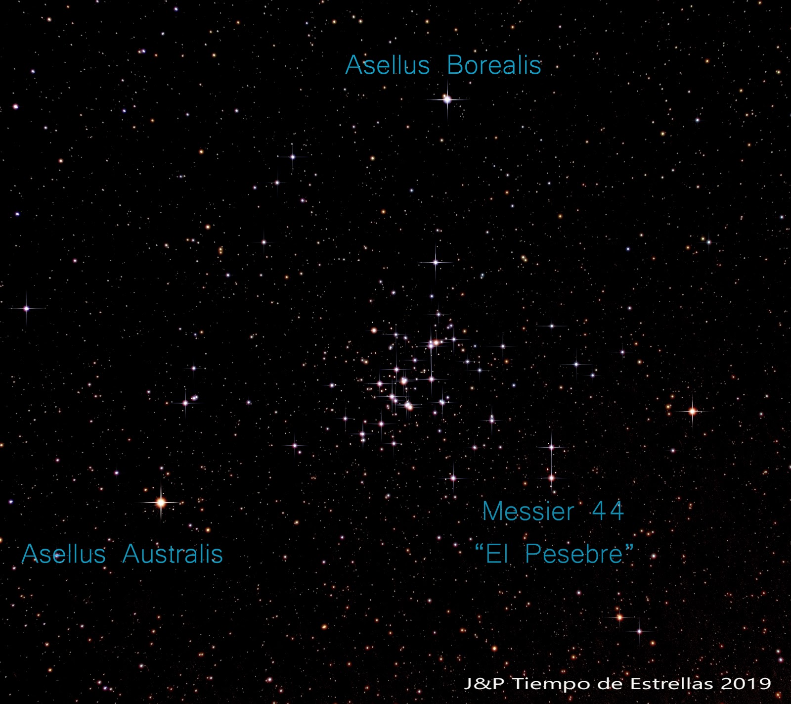 Tiempo de Estrellas: Los asnos en el pesebre