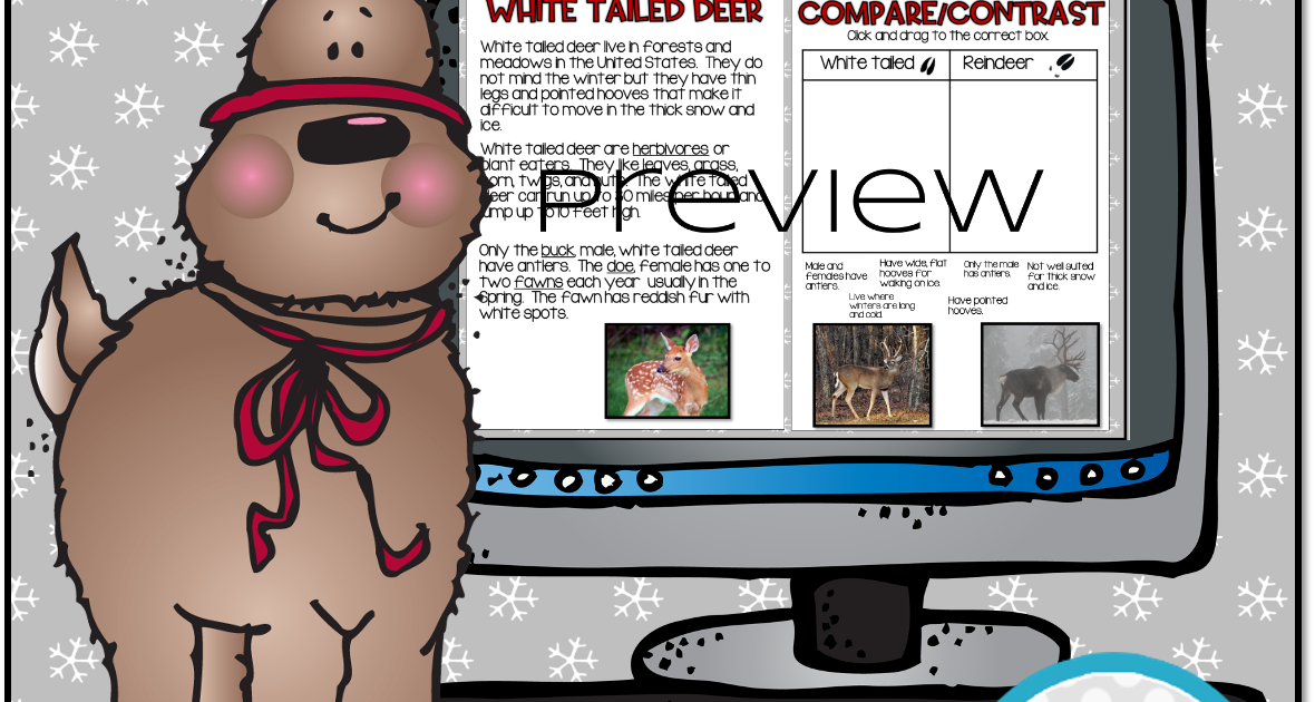 1st Grade Hip Hip Hooray!: Reindeer Fun...Interactive Google Slides ...