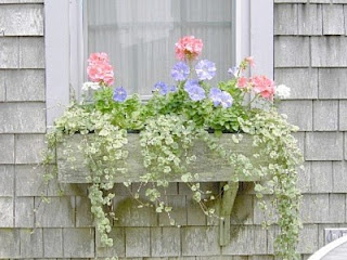 A Vintage Junket: Window Boxes