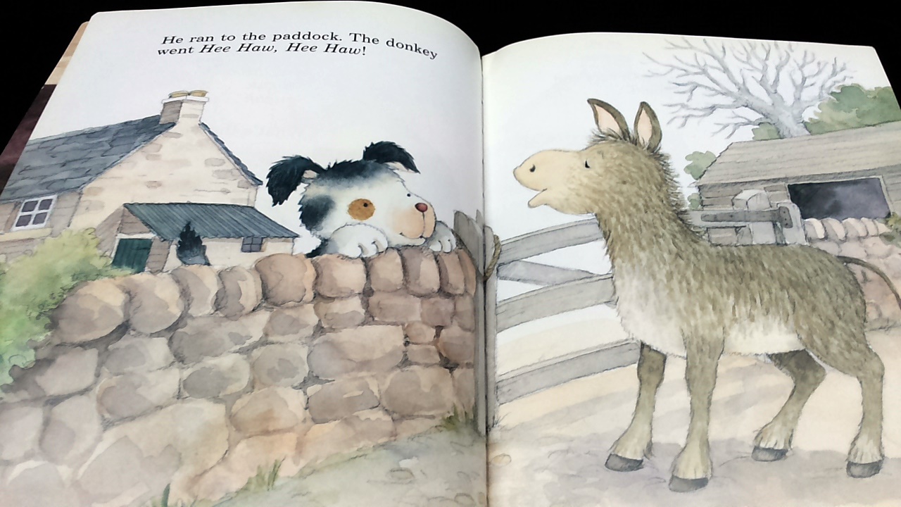 Kid Books Blog: 224.Fergus and Marigold / Fergus to the Rescue / Fergus ...