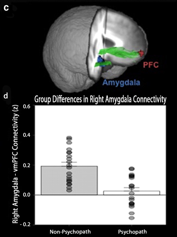 The Neurocritic: December 2011