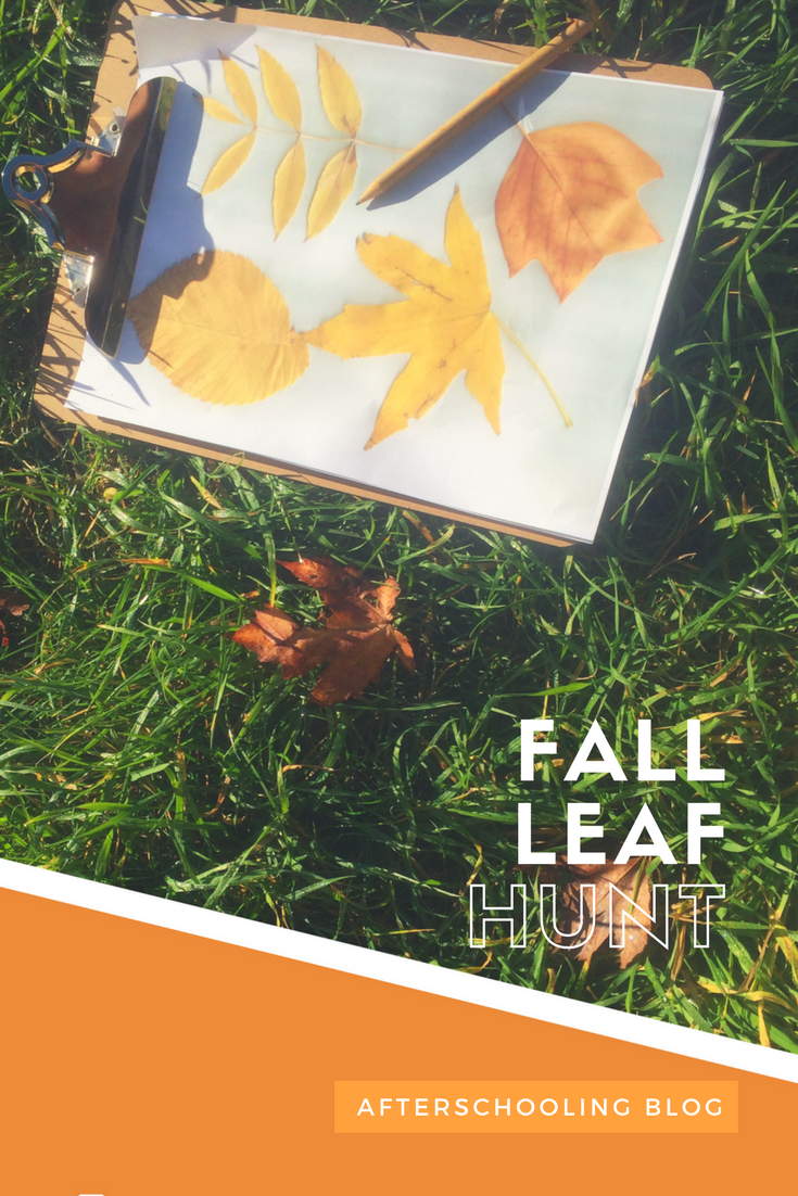 Afterschooling Blog: Leaf Hunt Printable