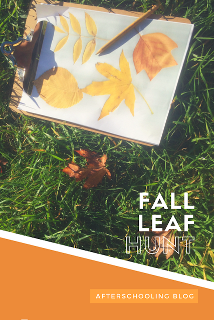 Afterschooling Blog: Leaf Hunt Printable