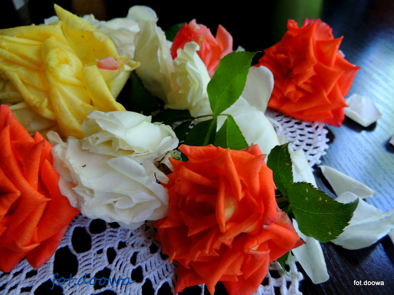 Rosolio - włoska nalewka różana - Moje Małe Czarowanie - Dorota ...