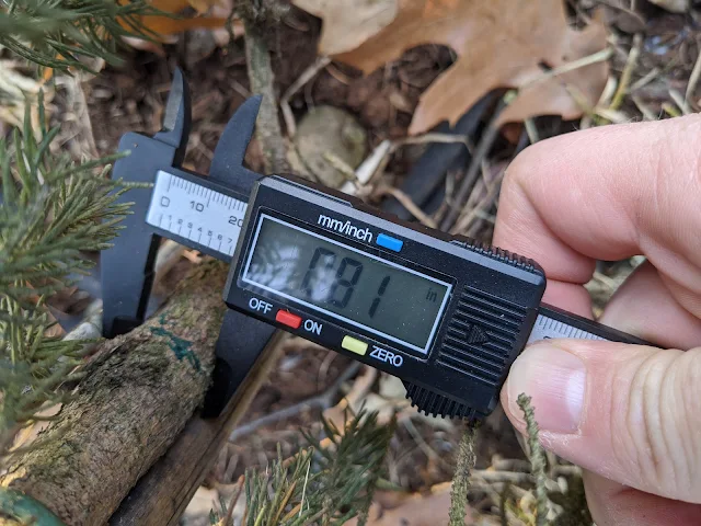 Backyard Tree Caliper Measurements - January 2020