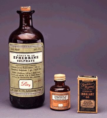 Timeless Environments: Squaw Tea (Ephedra californica) or maybe ...