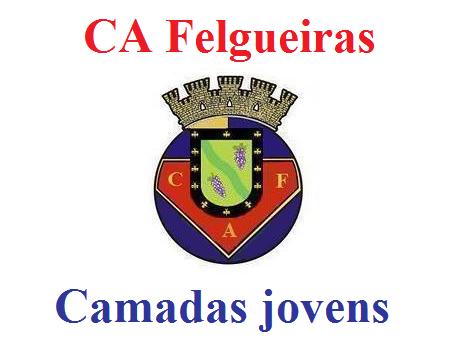 Notícias FC Felgueiras: novembro 2011