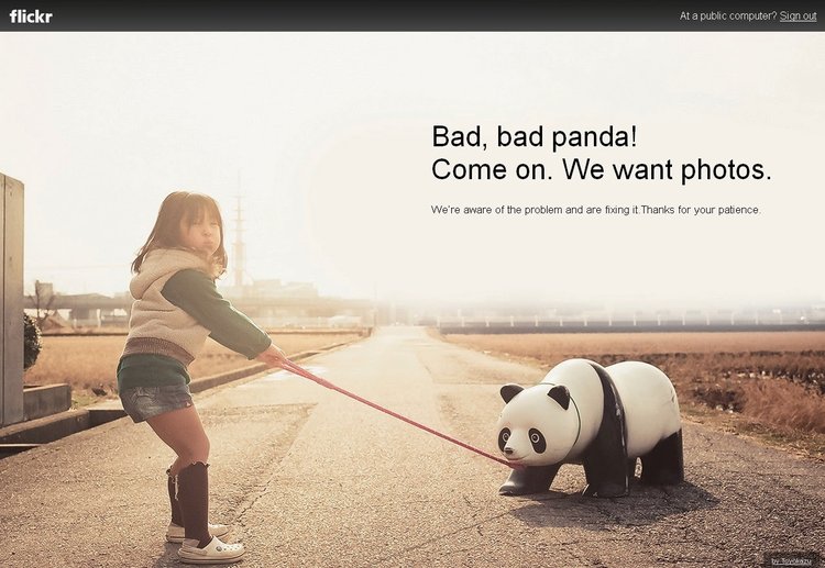 'BAD PANDA !' Here’s the story behind the most famous photo on Flickr