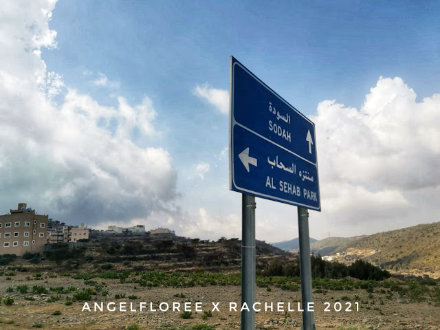 Visiting Al-Soudah National Park in Abha | Angelfloree