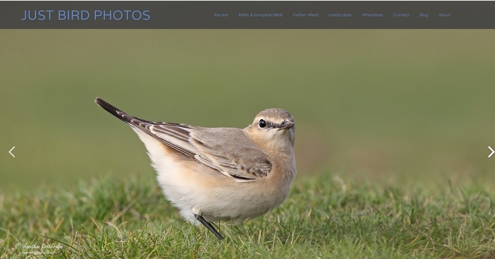 Wanstead Birder: Justbirdphotos