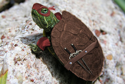 real life ninja turtle