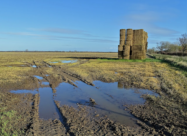 Yorkshire Pudding: Gringley
