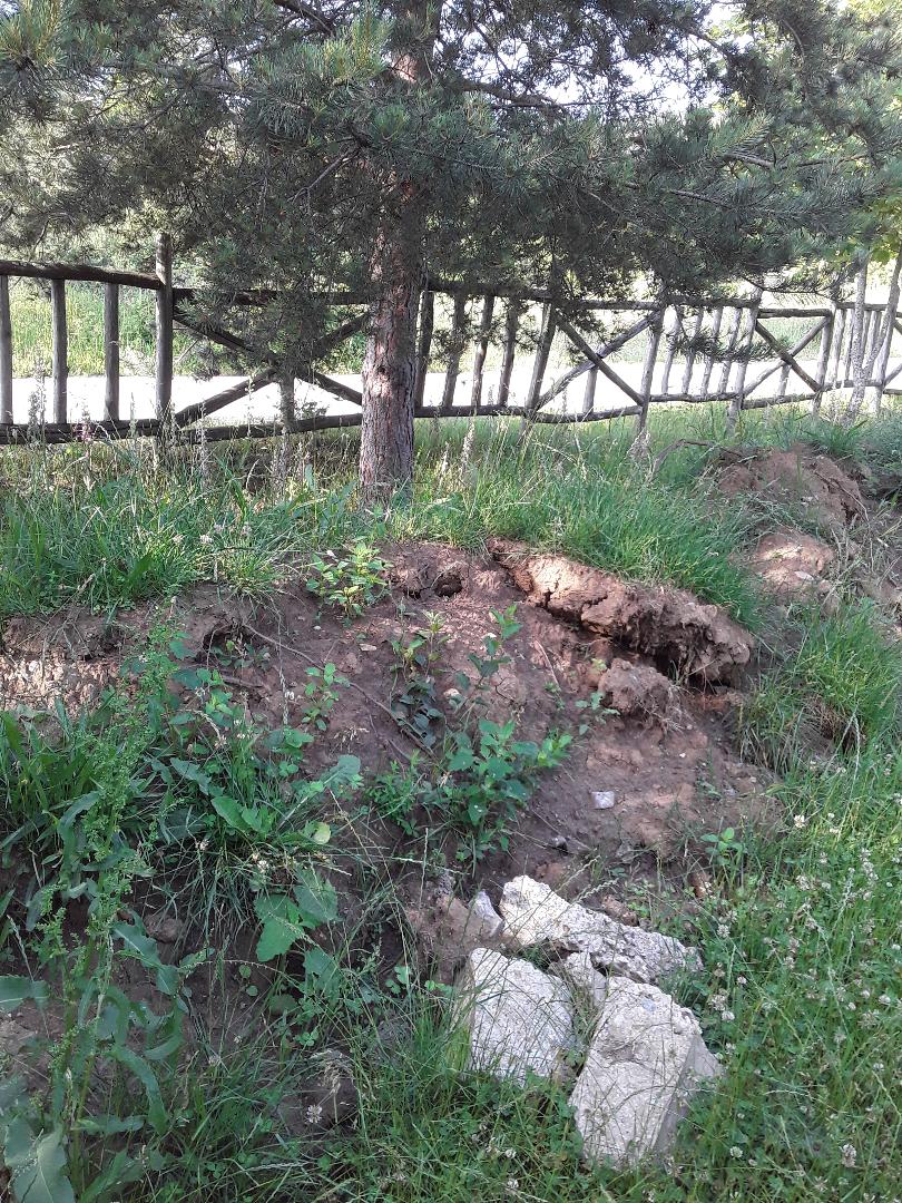 ΛΕΥΤΕΡΙΑ: ΔΙΑΜΑΡΤΥΡΙΑ ΚΑΤΟΙΚΩΝ ΓΙΑ ΤΗΝ ΠΑΙΔΙΚΗ ΧΑΡΑ ΑΝΩ ΜΗΛΙΑΣ - ΦΩΤΟ