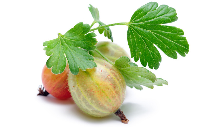 Gooseberry - Fruits And Vegetables