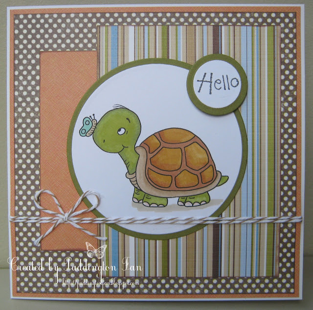 Paddington Fan's Blog: Hello Turtle