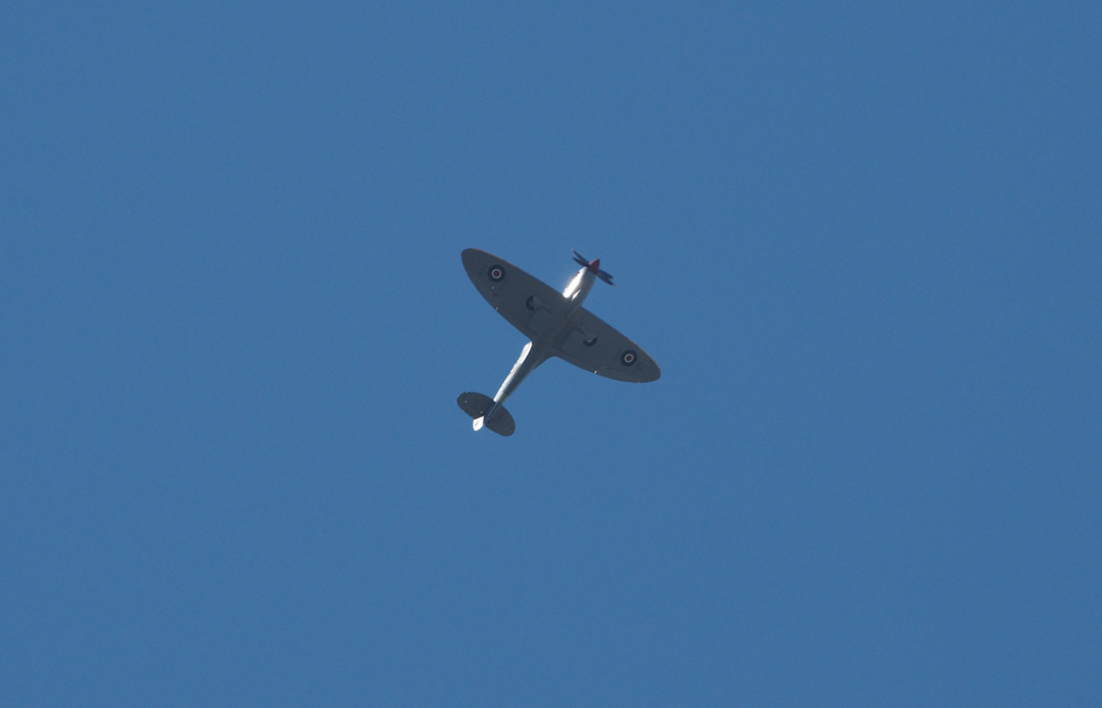 Warbirdskies: Some aerial activity in the neighbourhood...