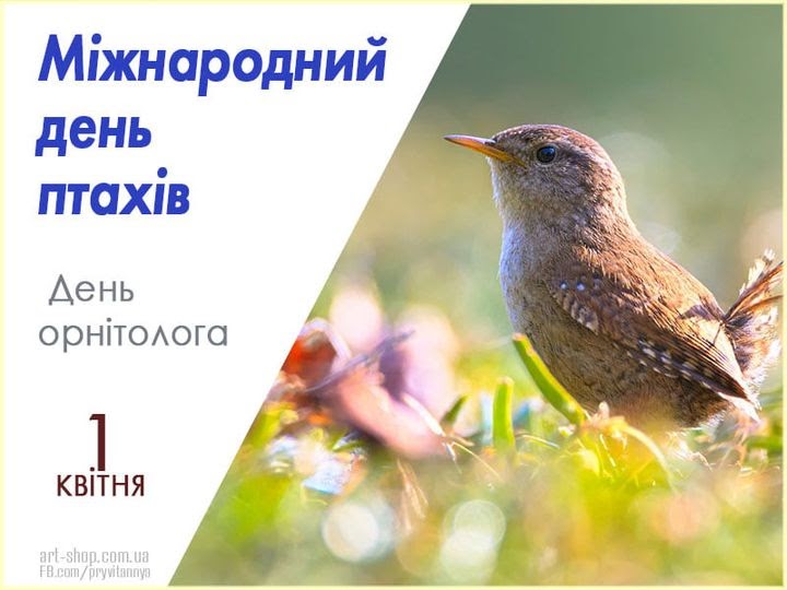 БІБЛІОШОПІНГ 1 квітня Міжнародний День птахів День зустрічі птахів
