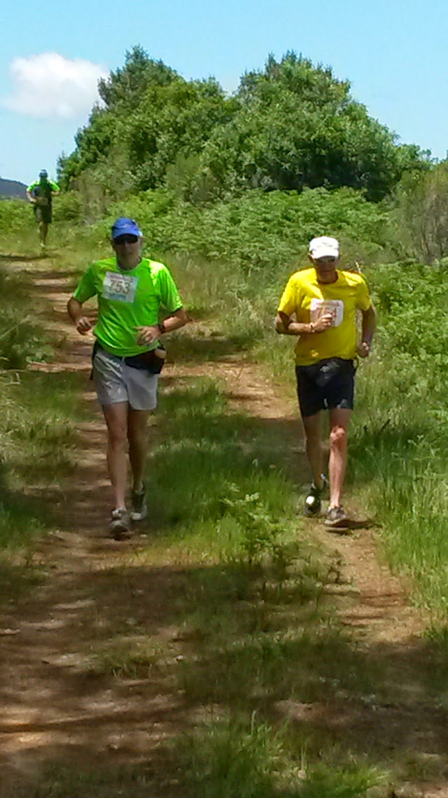 PETER GIDDY.: HOGSBACK HOBBITON 16 AND 38K TRAIL RUN NOVEMBER 2014