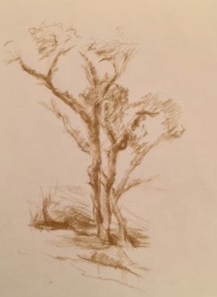 Connie Chadwell's Hackberry Street Studio: Drawing of Small Trees ...