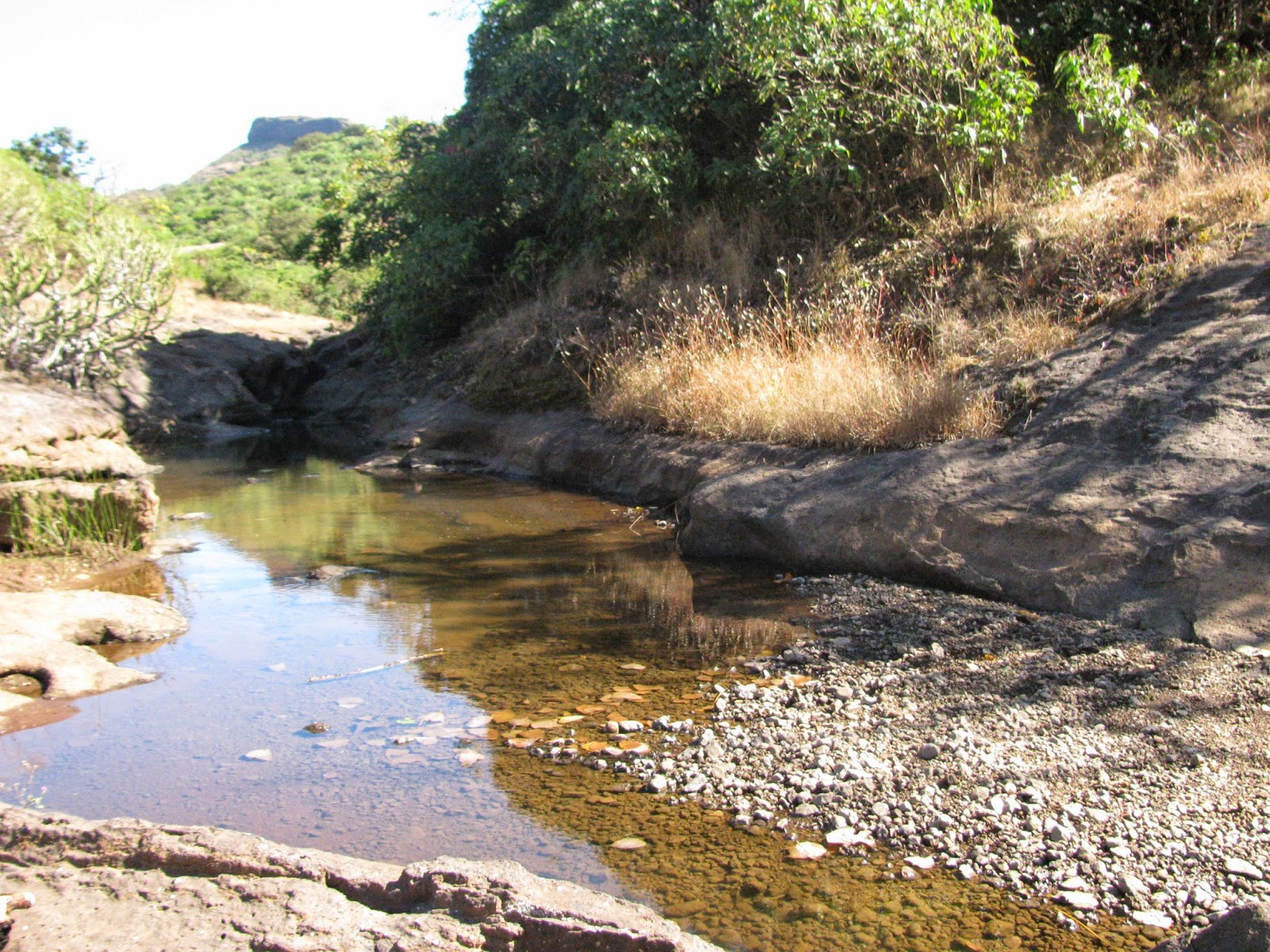 Weekend Nature Explorer: Trek Durg, Dhakoba, Amboli & Darya Ghat