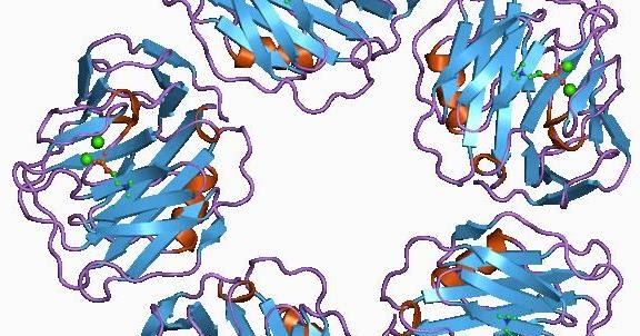 About Health: High Sensitivity C-reactive Protein Test