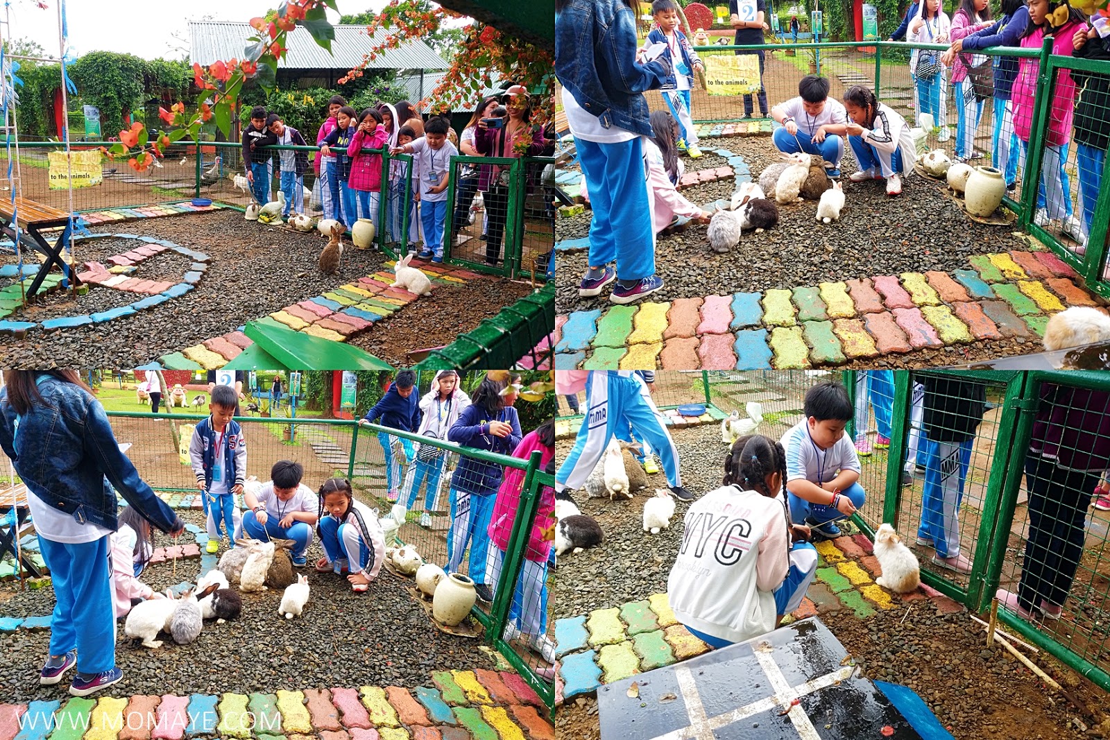 Paradizoo Educational Field Trip 2019