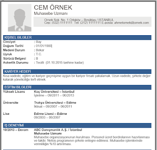 CV Nedir ? CV indir - bilenesoruyorum.com