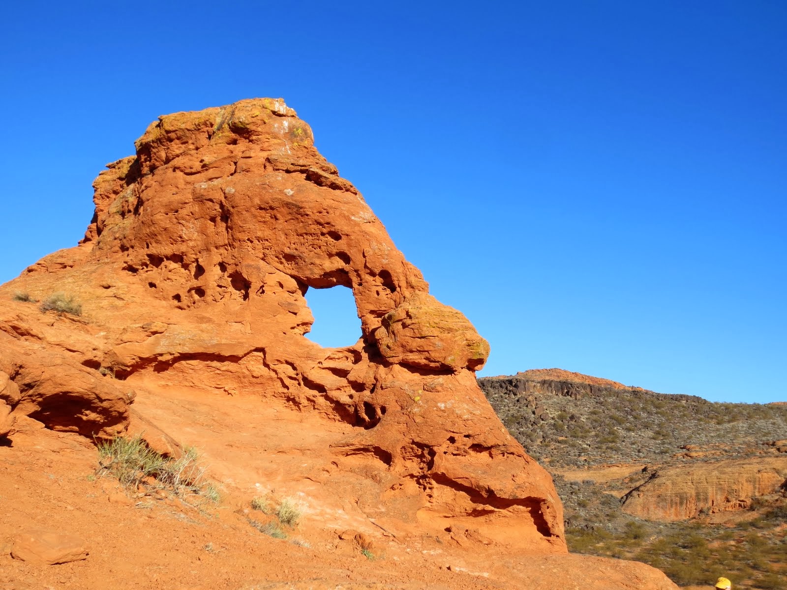 Journeys: Red Cliffs Desert Reserve, Yant Flat, and Mojave Desert ...