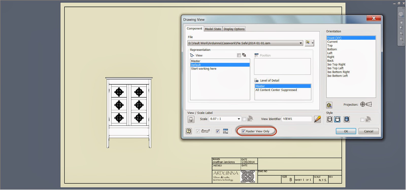 Checking the Raster Views Only checkbox