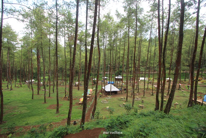 Taman Pinus Bendosari