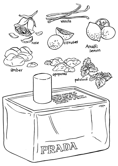 Julia Minamata Illustration -- the blog: Four favourite fragrances