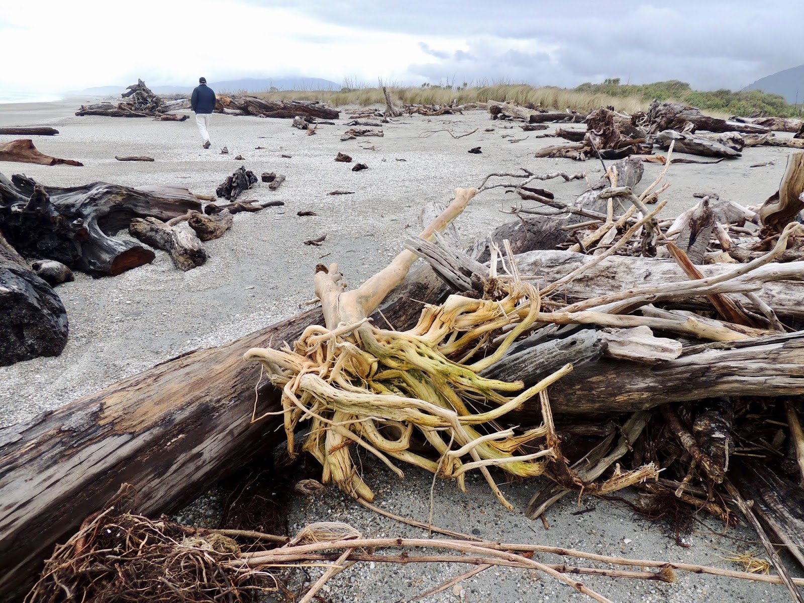 THE ROAD TAKEN : Windswept Haast Beach