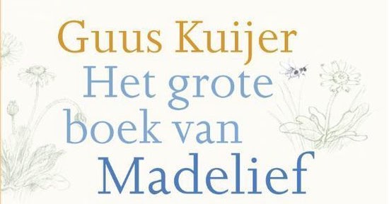 Het grote boek van Madelief - Guus Kuijer